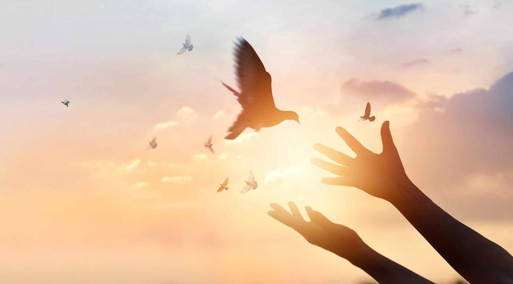 Lose With Grace and Increase Your Chances of Future Winning
